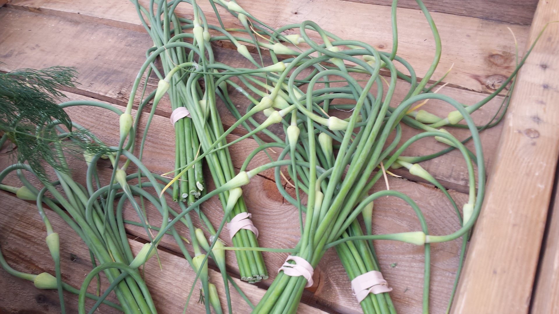 Garlic Scapes & Vegetarian Beef - The Busy Vegetarian