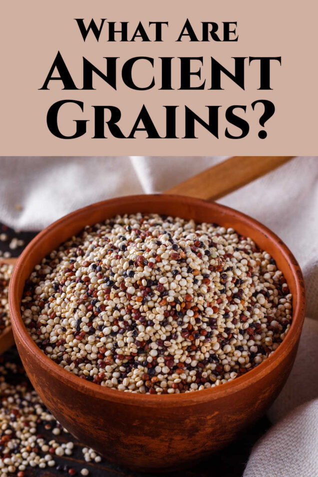 What Are Ancient Grains? - The Busy Vegetarian