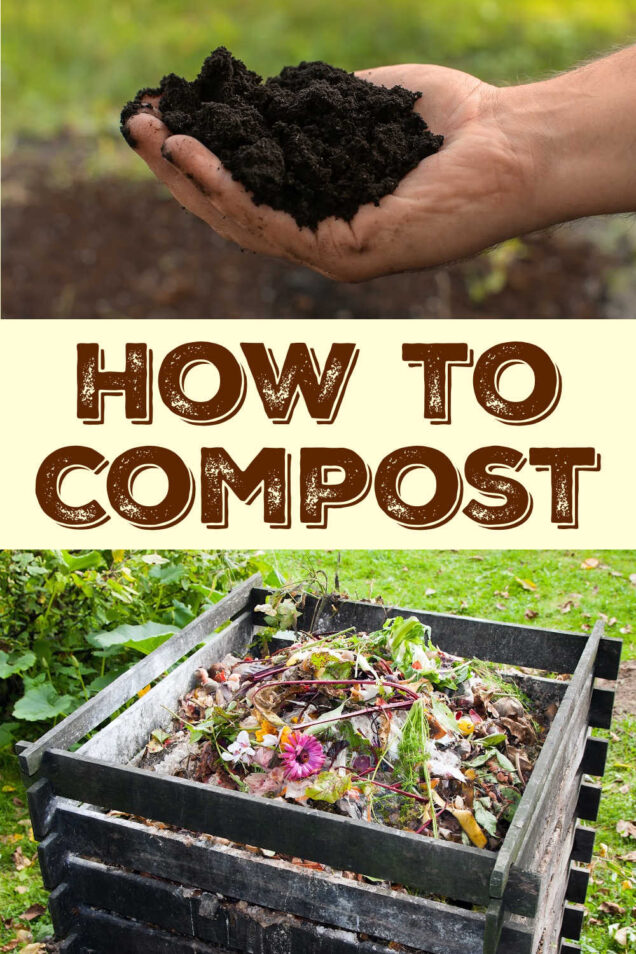 How to Compost - The Busy Vegetarian