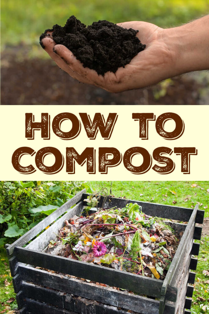 How to Compost - The Busy Vegetarian