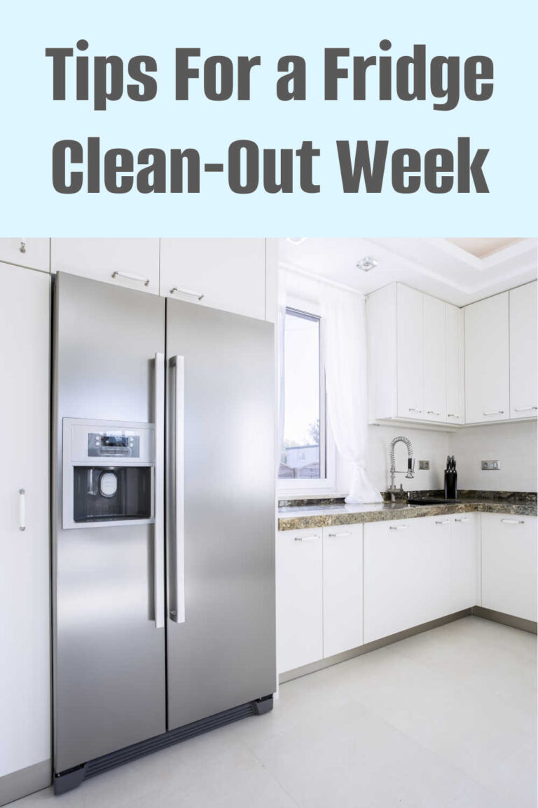 Tips For a Fridge Clean-Out Week - The Busy Vegetarian
